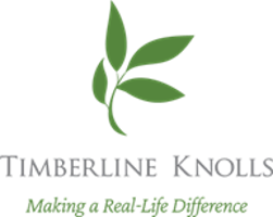 Simultaneous Treatment of Eating Disorders and Substance Use Disorders ...